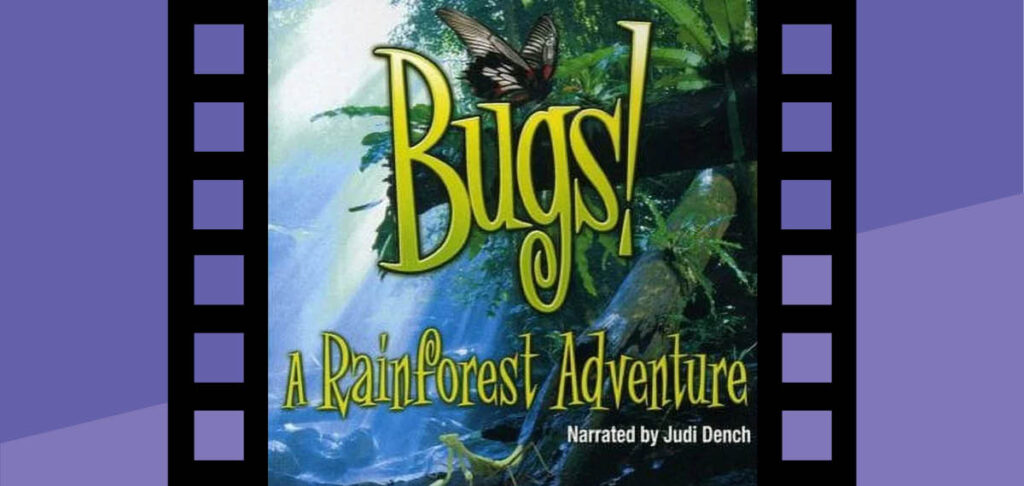 Bugs! A Rainforest Adventure - Putnam Museum